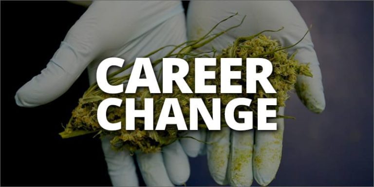Write a Cover Letter for Marijuana Jobs